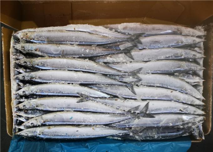 90g 100g Whole Round Seafrozen BQF Pacific Saury Fish