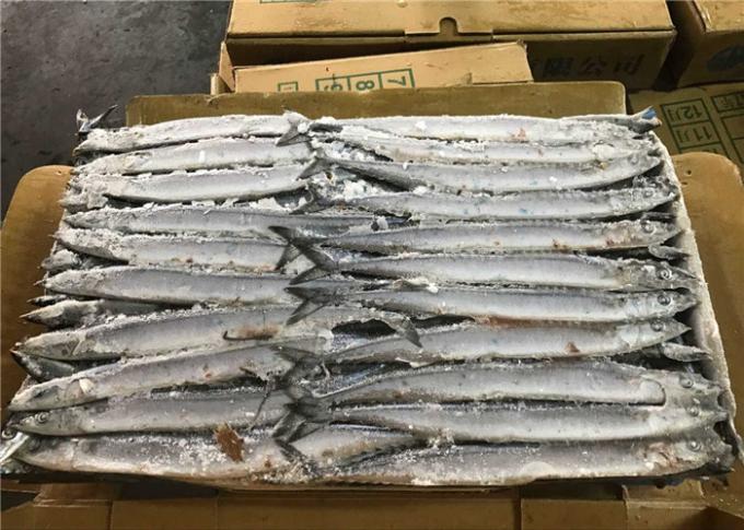 Block Quick Frozen 80g 100g 110g Bulk Freezing Pacific Saury