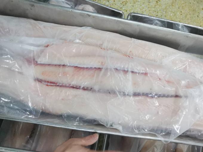 2kg Sail Fish IQF Freezing Seafood HGT Frozen Marlin bone