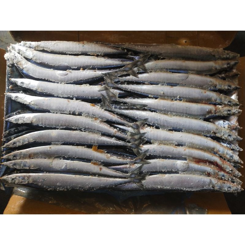 Hot sale Whole round size #3 BQF Frozen Pacific Saury Fish Cololabis Saira