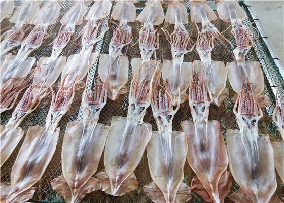Bulk Seafood 80g 90g Whole Dried Squid For Restaurant