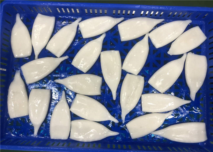 Natural Color U5 Todarodes Pacificus Frozen Squid Tubes