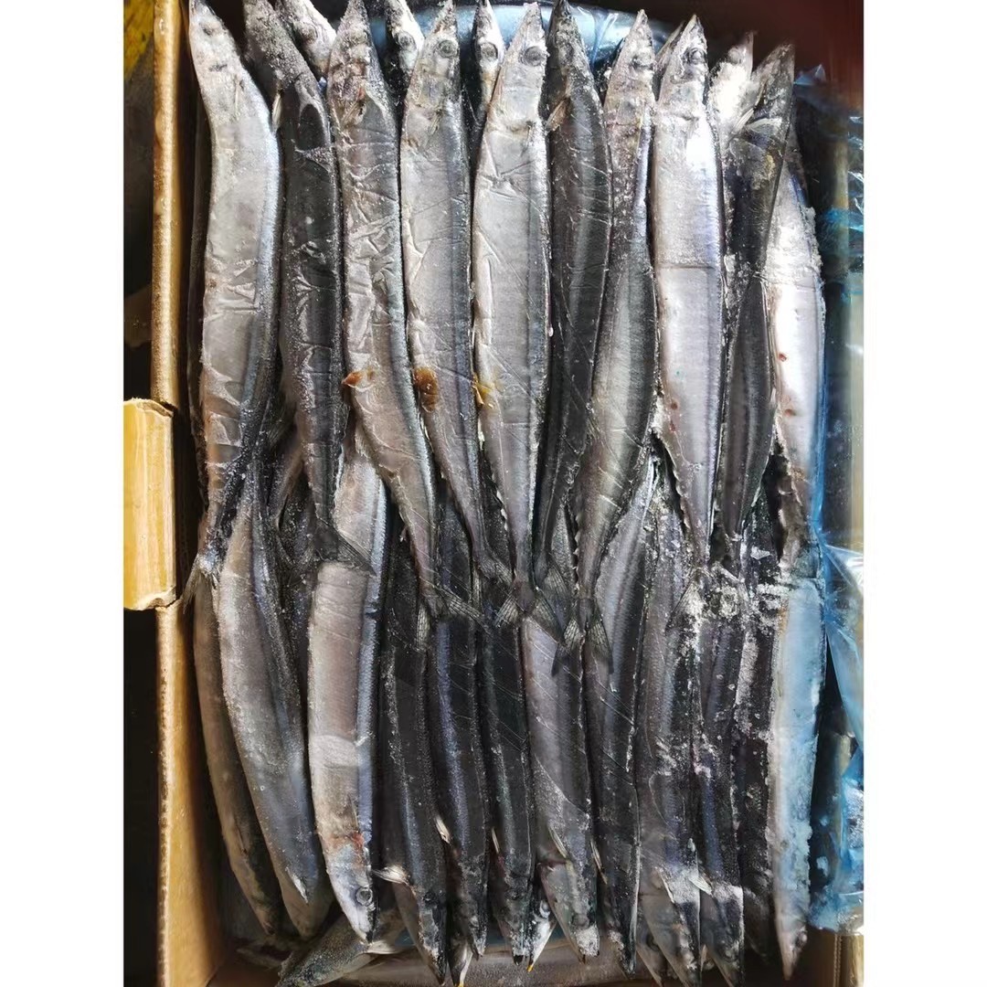 105g - 125g BQF Frozen Pacific Saury Fish