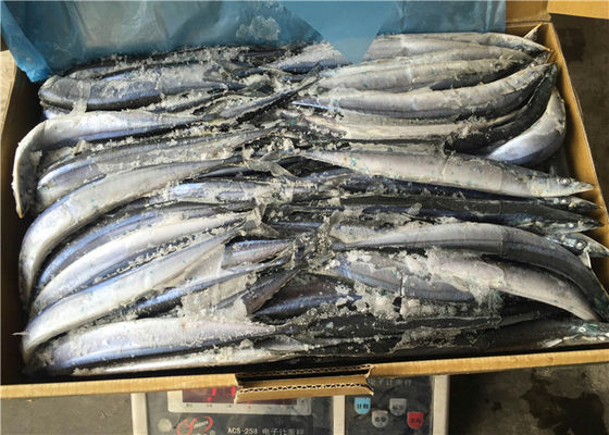 Block Quick Frozen 80g 100g 110g Bulk Freezing Pacific Saury