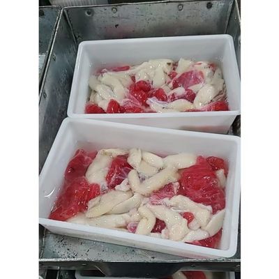 BQF Egg Red And White 12.5kg Per Block Frozen Indian Ocean Squid Roe