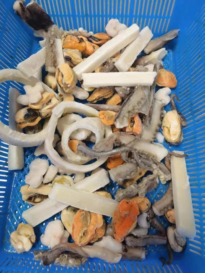 IQF Frozen Seafood Mix 500gr/bag With ISO Authentication